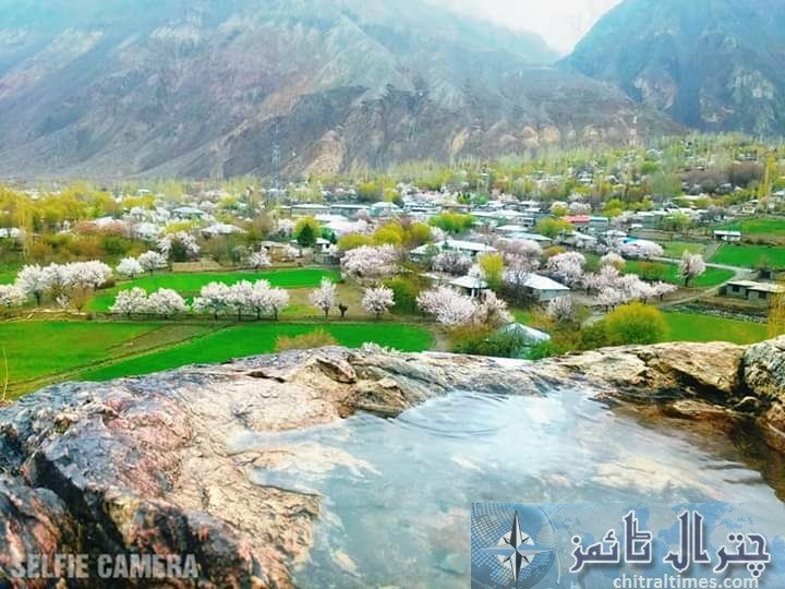 mastuj spring April 20192 - Chitral Times